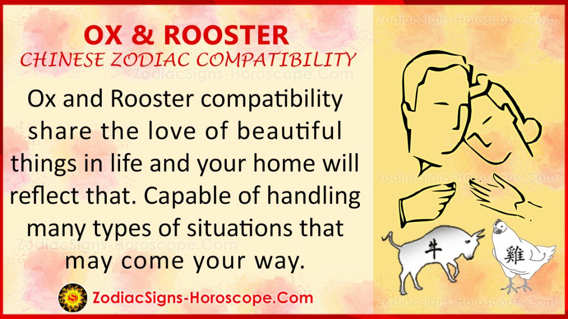 Ox and Rooster Love Compatibility, Relationship, Traits in Chinese Zodiac
