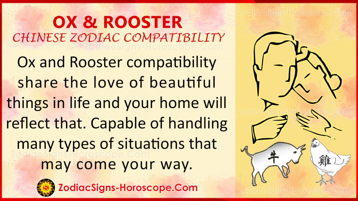 Ox and Rooster Love Compatibility, Relationship, Traits in Chinese Zodiac