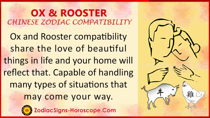 Ox and Rooster Love Compatibility, Relationship, Traits in Chinese Zodiac