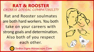 Rat and Rooster Love Compatibility, Relationship, Traits in Chinese Zodiac