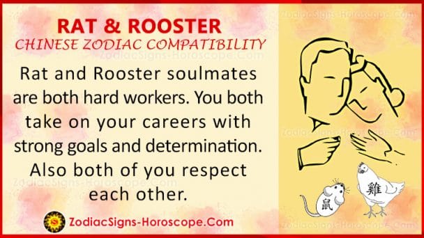 Rat and Rooster Love Compatibility, Relationship, Traits in Chinese Zodiac