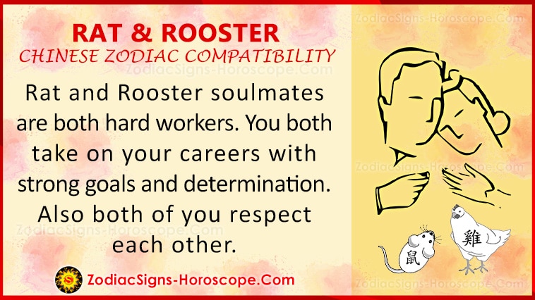 Rat and Rooster Love Compatibility, Relationship, Traits in Chinese Zodiac