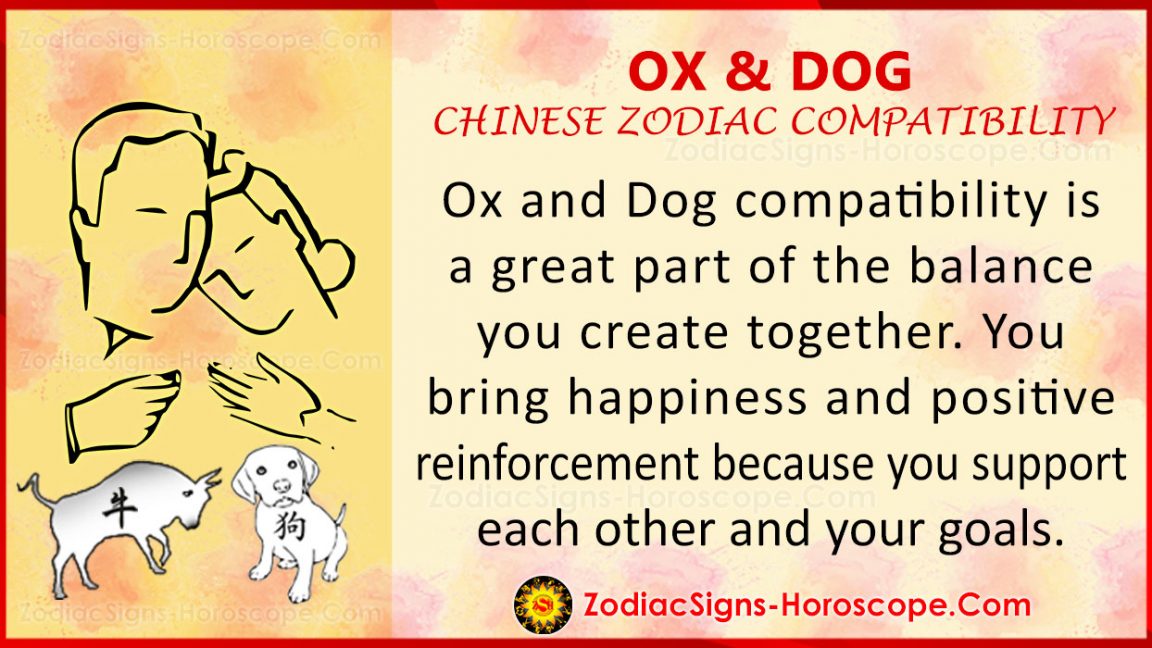 Ox and Dog Love Compatibility, Relationship and Traits in Chinese Zodiac
