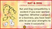 Rat and Dog Love Compatibility, Relationship and Traits in Chinese Zodiac