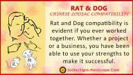 Rat and Dog Love Compatibility, Relationship and Traits in Chinese Zodiac