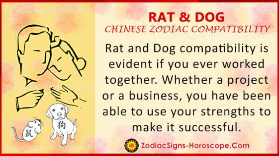 Rat and Dog Love Compatibility, Relationship and Traits in Chinese Zodiac