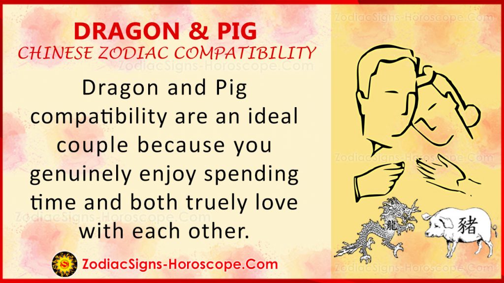 Dragon and Pig Chinese Zodiac Compatibility: Love and Relationship