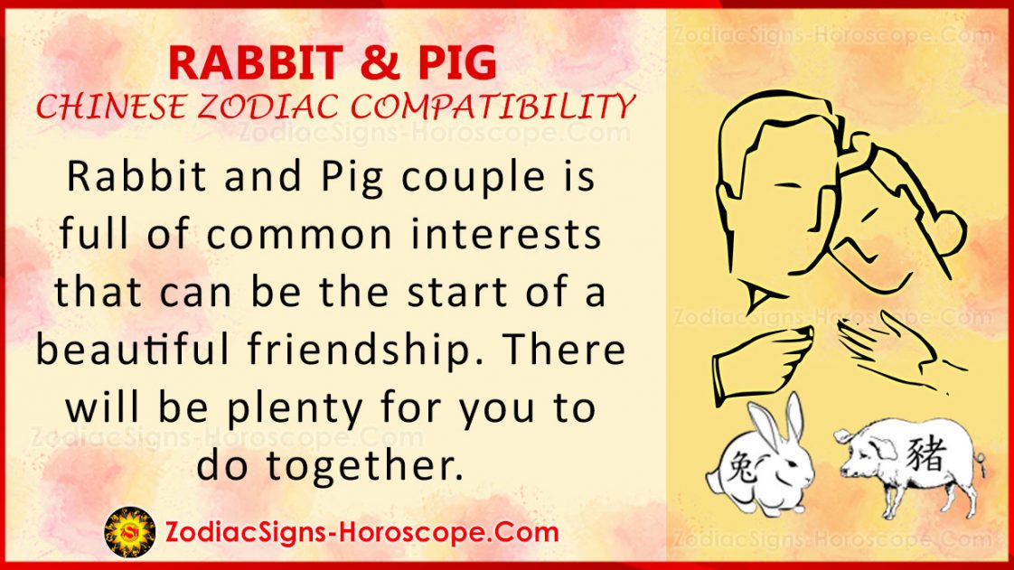 Rabbit and Pig Chinese Zodiac Compatibility: Love and Relationship