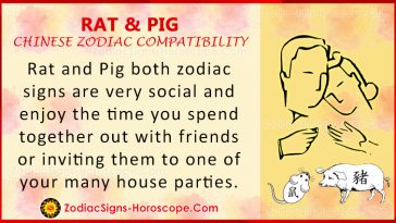 Rat and Pig Love Compatibility, Relationship and Traits in Chinese Zodiac