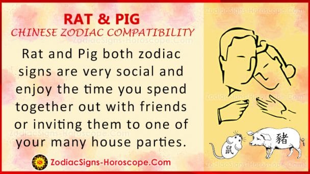 Rat and Pig Love Compatibility, Relationship and Traits in Chinese Zodiac