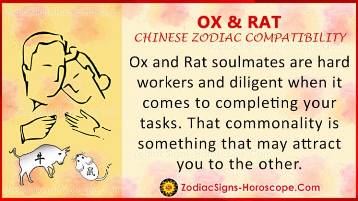 Ox and Rat Love Compatibility, Relationship and Traits in Chinese Zodiac