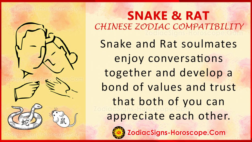 Snake and Rat Chinese Zodiac Compatibility: Love and Relationship