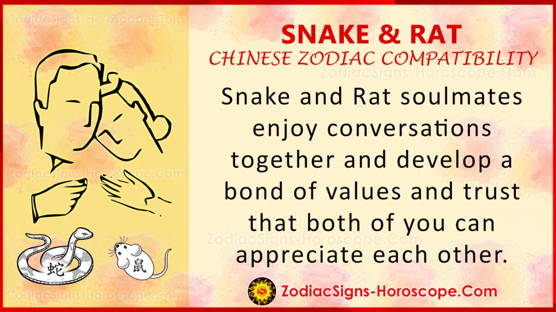 Snake and Rat Chinese Zodiac Compatibility: Love and Relationship
