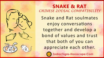 Snake and Rat Chinese Zodiac Compatibility: Love and Relationship