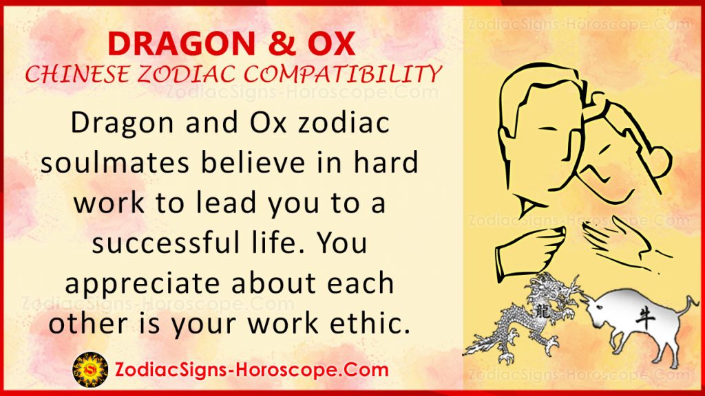 Dragon and Ox Chinese Zodiac Compatibility: Love and Relationship | ZSH