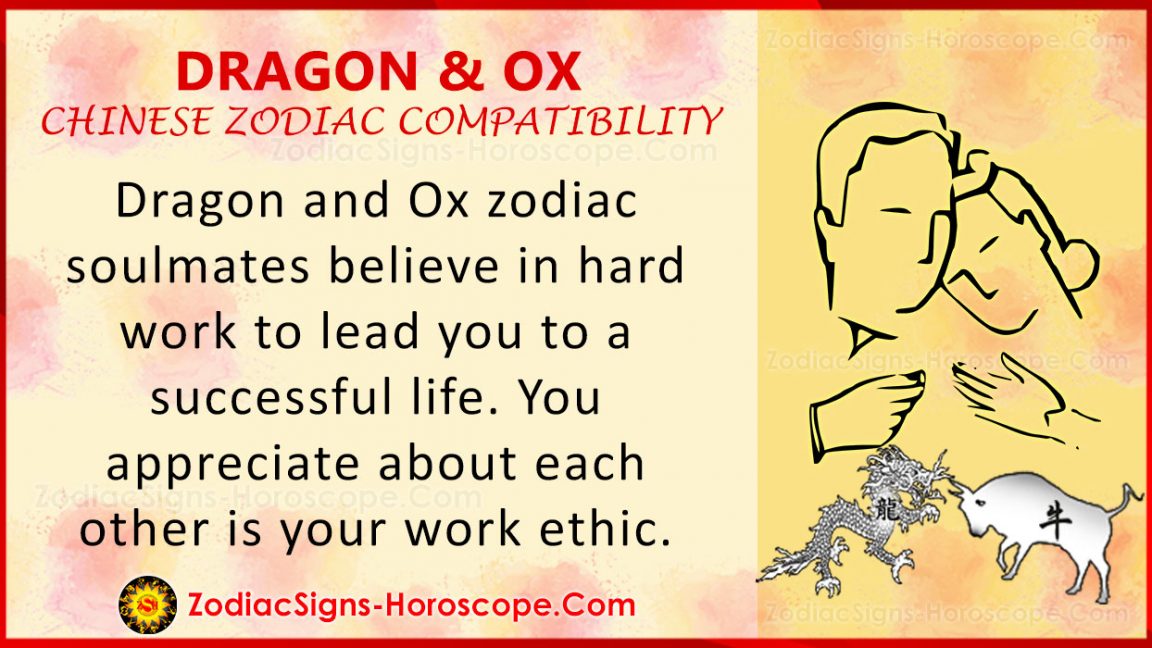 Dragon and Ox Chinese Zodiac Compatibility: Love and Relationship | ZSH