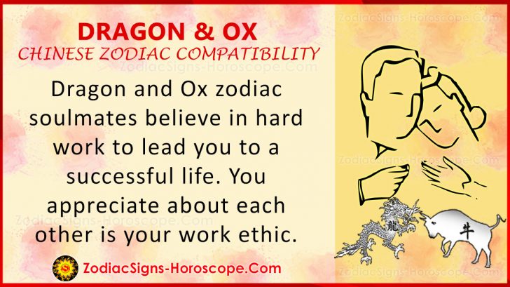 Dragon and Ox Chinese Zodiac Compatibility: Love and Relationship | ZSH