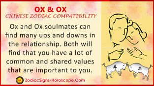 Ox and Ox Love Compatibility, Relationship and Traits in Chinese Zodiac