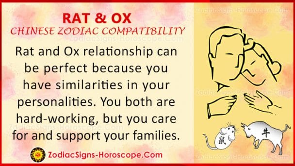 Rat and Ox Love Compatibility, Relationship and Traits in Chinese Astrology