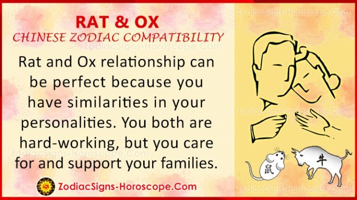 Rat and Ox Love Compatibility, Relationship and Traits in Chinese Astrology