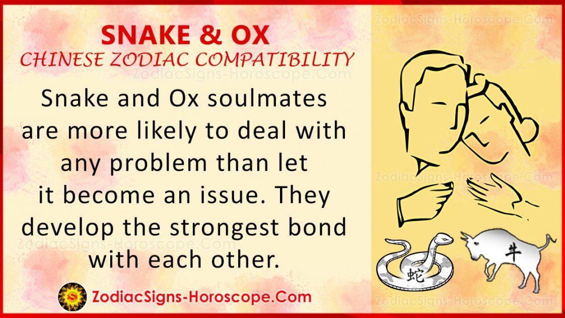 Snake and Ox Chinese Zodiac Compatibility: Love and Relationship