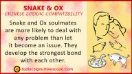Snake and Ox Chinese Zodiac Compatibility: Love and Relationship