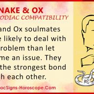 Snake and Rat Chinese Zodiac Compatibility: Love and Relationship