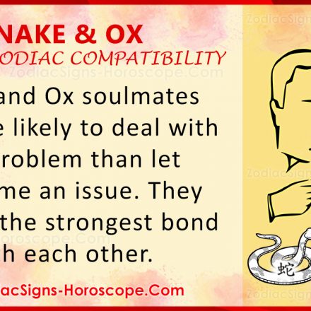 Snake and Rat Chinese Zodiac Compatibility: Love and Relationship
