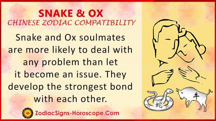 Snake and Ox Chinese Zodiac Compatibility: Love and Relationship