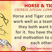Horse and Rabbit Chinese Zodiac Compatibility: Love and Relationship