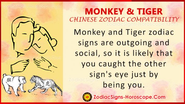 Monkey and Tiger Compatibility: Zodiac Traits and Love Compatibility