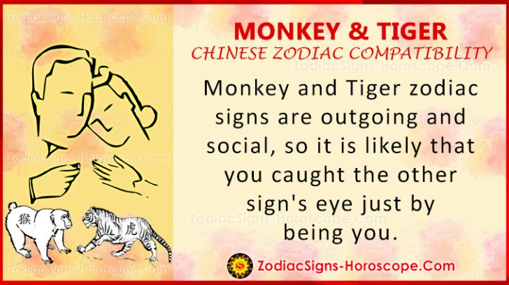 Monkey and Tiger Compatibility: Zodiac Traits and Love Compatibility