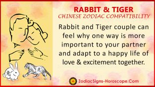 Rabbit and Tiger Chinese Zodiac Compatibility: Love and Relationship