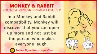 Monkey and Rabbit Compatibility: Zodiac Traits and Love Compatibility