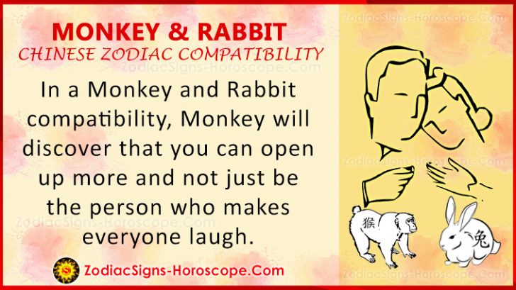 Monkey and Rabbit Compatibility: Zodiac Traits and Love Compatibility
