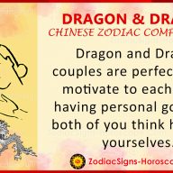 Dragon and Snake Chinese Zodiac Compatibility: Love and Relationship