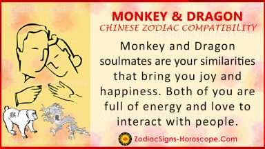 Monkey and Dragon Compatibility: Zodiac Traits and Love Compatibility