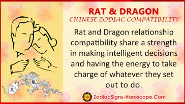 Rat and Dragon Zodiac Compatibility, Relationship, and Traits in ...