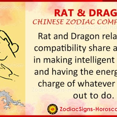 Rat and Snake Love Compatibility, Relationship & Traits in Chinese Zodiac