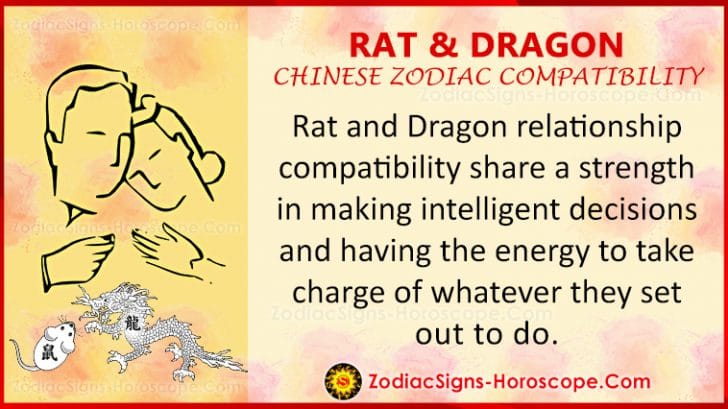 Rat and Dragon Zodiac Compatibility, Relationship, and Traits in ...