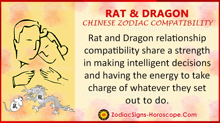 Rat and Dragon Zodiac Compatibility, Relationship, and Traits in ...