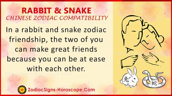 Rabbit and Snake Chinese Zodiac Compatibility: Love and Relationship