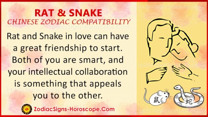 Rat and Snake Love Compatibility, Relationship & Traits in Chinese Zodiac