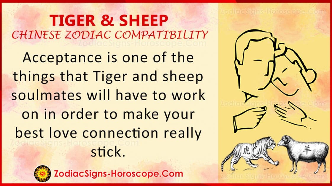 Tiger and Sheep Love Compatibility, Relationship, Traits in Chinese Zodiac