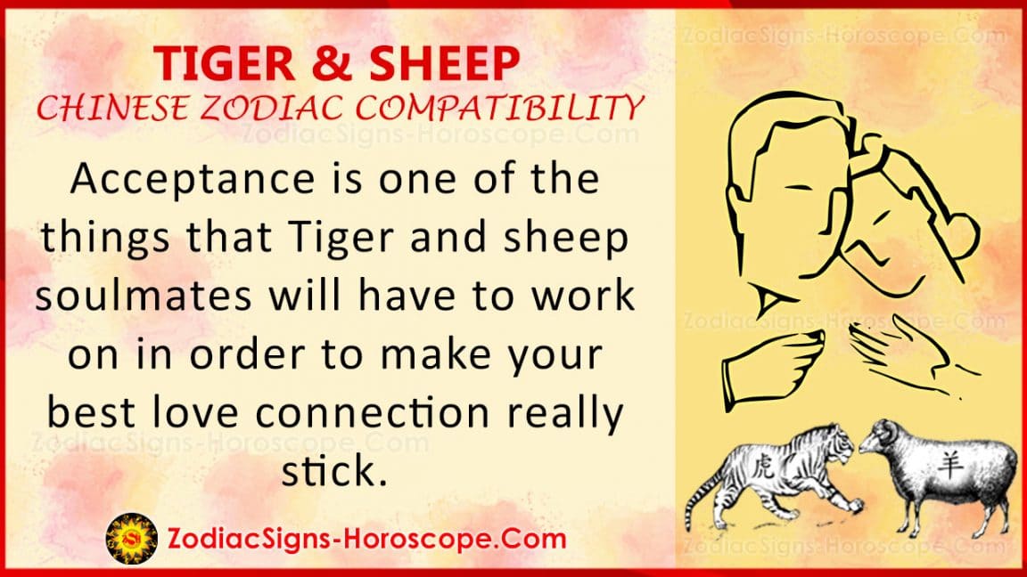 Tiger and Sheep Love Compatibility, Relationship, Traits in Chinese Zodiac