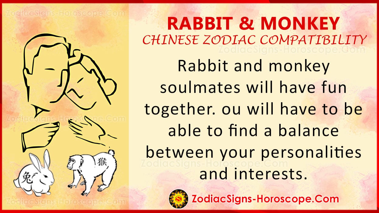 Chinese Zodiac Monkey Personality