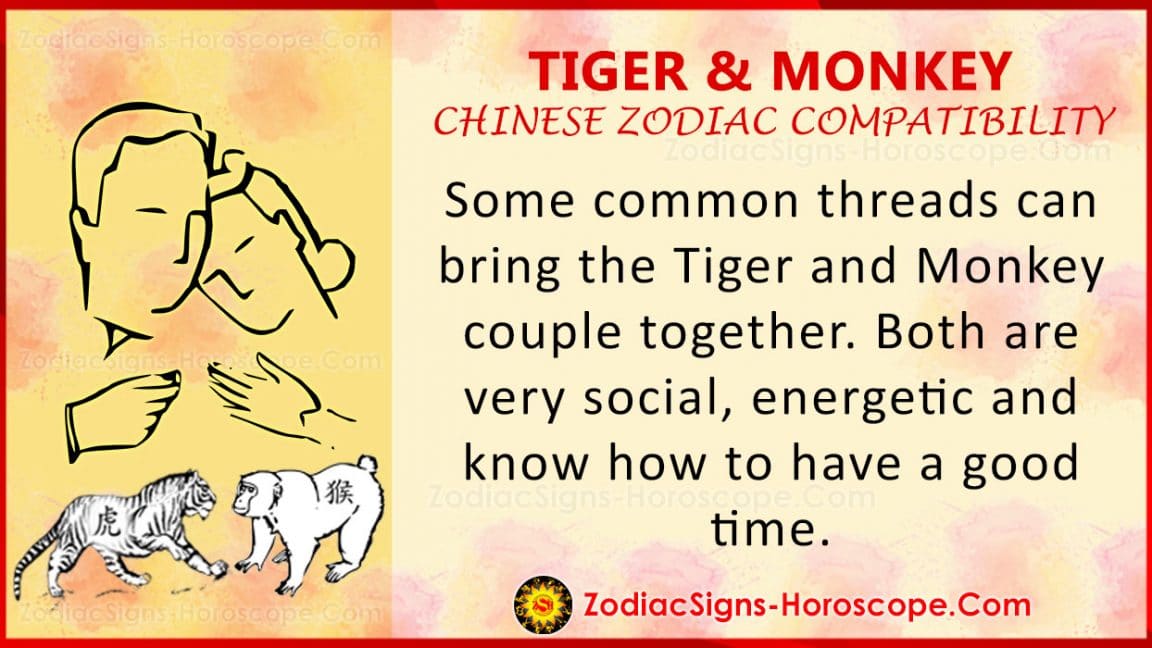 Tiger and Monkey Chinese Zodiac Compatibility: Love and Relationship