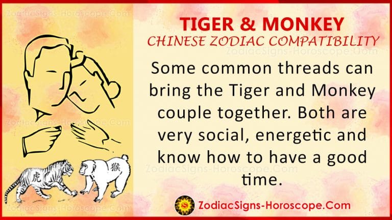 Tiger and Monkey Chinese Zodiac Compatibility: Love and Relationship