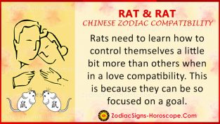 Rat and Rat Love Compatibility, Relationship, Traits in Chinese Astrology