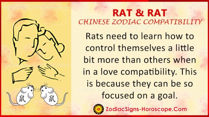 Rat and Rat Love Compatibility, Relationship, Traits in Chinese Astrology